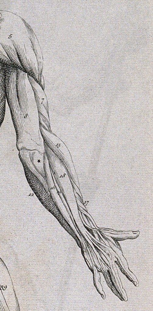 | Top Tips to Training Grip Strength | - Strength Forge