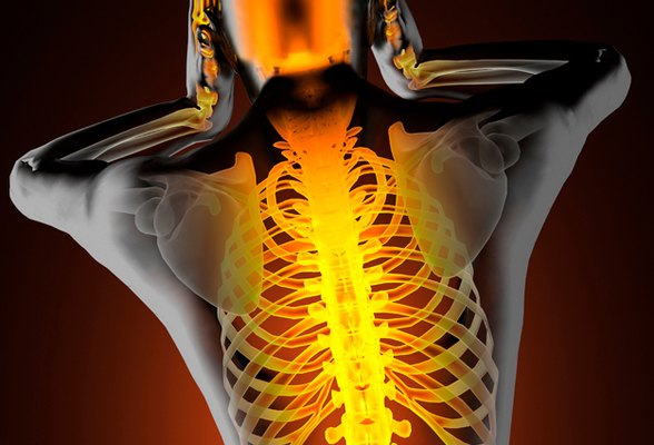 | Controlling the T Spine – Thoracic Spine Exercises | - Strength Forge