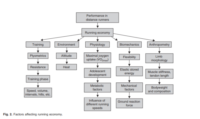 | The Ultimate Guide - Strength Training for Runners | - Strength Forge