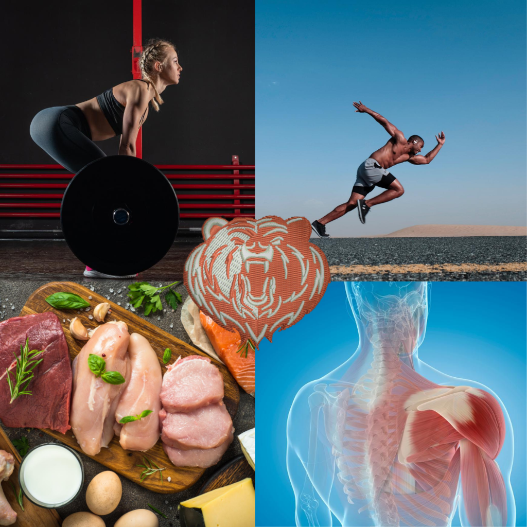 Writing an Exercise Program – Extensive vs. Intensive - Strength Forge