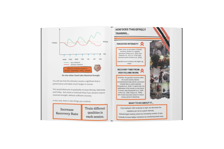 Isometric Program – Unshakable Strength Protocol